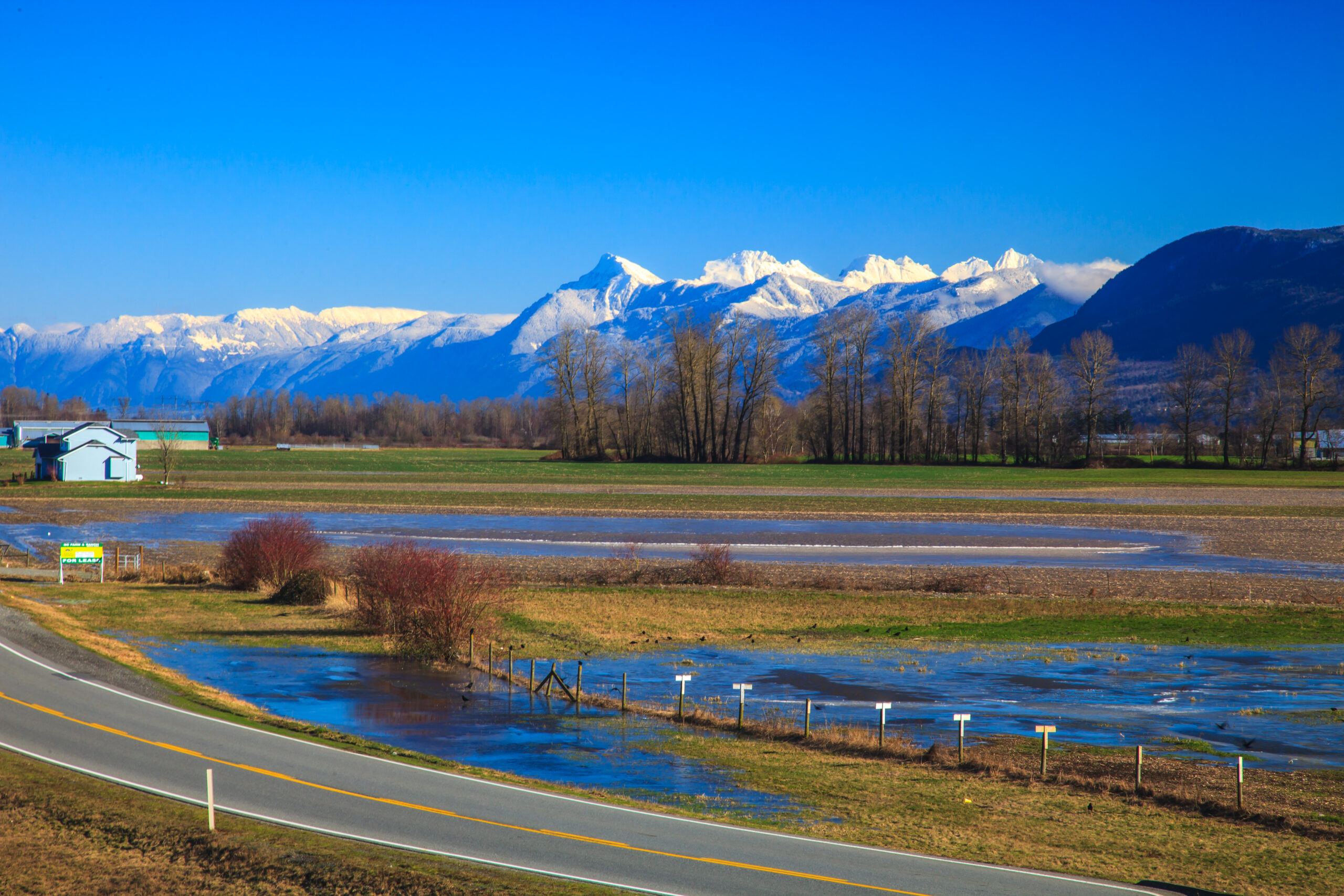 Weekly Roundup: Sightseeing Gondola or Year-Round Resort? Two Visions ...